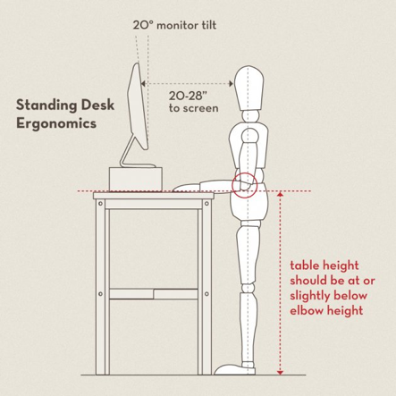 How a standing desk can influence your health | Wokingham Chiropractic